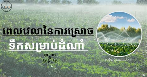 តើយើងគួរស្រោចទឹកដំណាំនៅពេលណា និងមិនគួរស្រោចទឹកនៅពេលណា នាទីកសិកម្ម