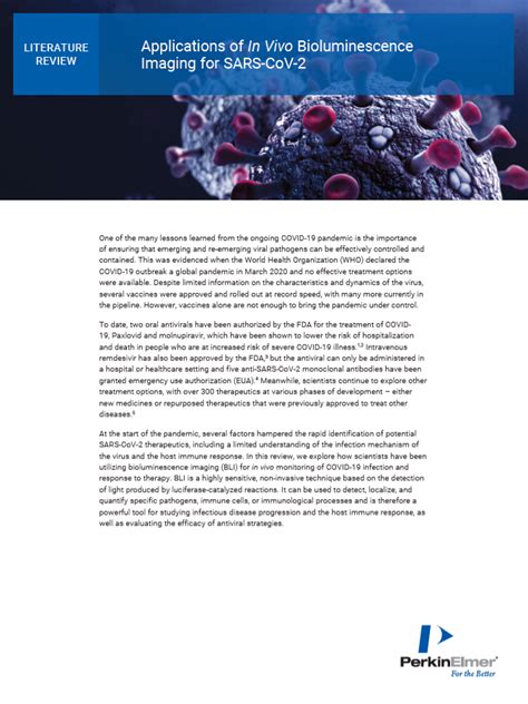 The Important Role In Vivo Bioluminescence Imaging Plays In Covid 19