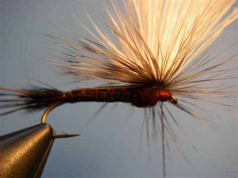 Tilt Shoot Iso Dry Isonychia Fly Pattern How To Tie