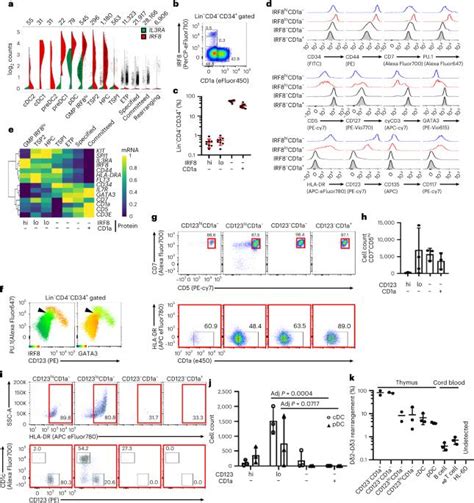 Intrathymic Dendritic Cell Biased Precursors Promote Human T Cell