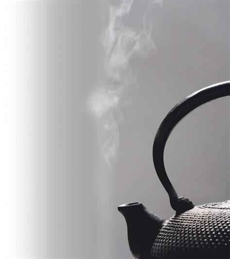 Iwachu Nanbu Tekki Cast Iron Teapotkettle And Coaster Ocean Wave