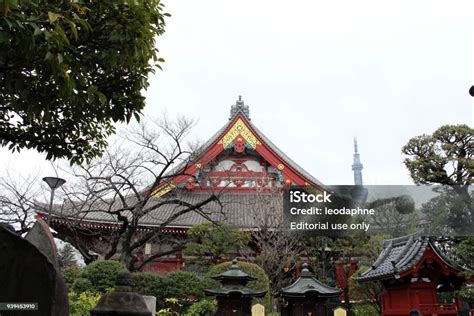 센 소지 사원 아사쿠사에 배경으로 도쿄 타워 가을에 대한 스톡 사진 및 기타 이미지 가을 간토 지역 건축 Istock