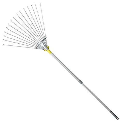 The Best Rake For Dead Grass Refresh The Lawn After Winter Plant And
