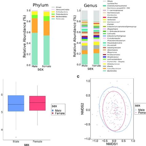 Differences In Gut Microbiota Between Female And Male Groups A