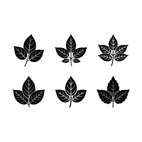 Oregano Leaf Icon Graphic Design File 57951161 Vector Art At Vecteezy