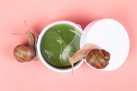 What Are The Benefits Of Snail Mucin For Skin Dr David Jack What Are The Benefits Of Snail Mucin For Skin Dr David Jack