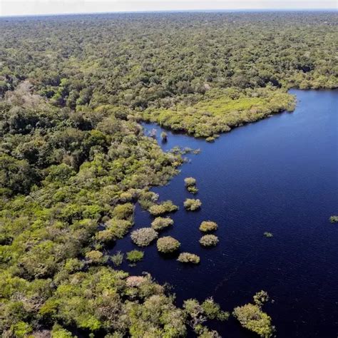 Amazônia Perde área De Vegetação Equivalente à França O Estado Ce