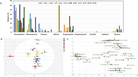 A Distribution Of The Group Of Volatile Compounds In The Tested Spices Download Scientific