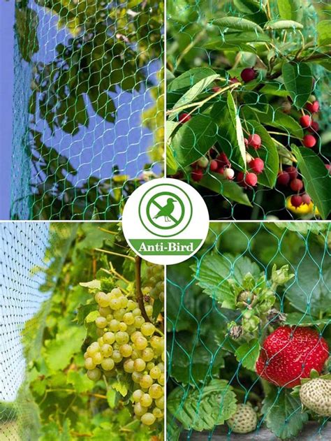 1pc Green Polyethylene Bird Netting For Orchards Vineyards And Gardens