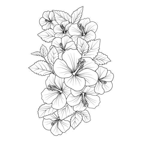 Vector Hibiscus Flower Hibiscus Flower Drawing Easy Sketch Easy