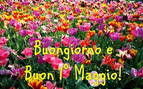 Buongiorno e Buon 1 Maggio 2021 le IMMAGINI più belle da condividere