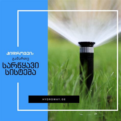 ჰიდროვეი მცენარე სარწყავისისტემა აგროსერვისი ირიგაცია ფერმერი რეიჟინერია რეპროექტირება