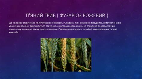 Мікроскопічні гриби що викликають хвороби у рослин презентация онлайн
