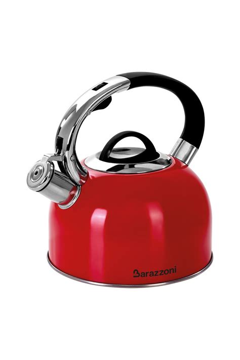 Bouilloire 2 5 L En 2021 Bouilloire Inoxydable Acier Inoxydable