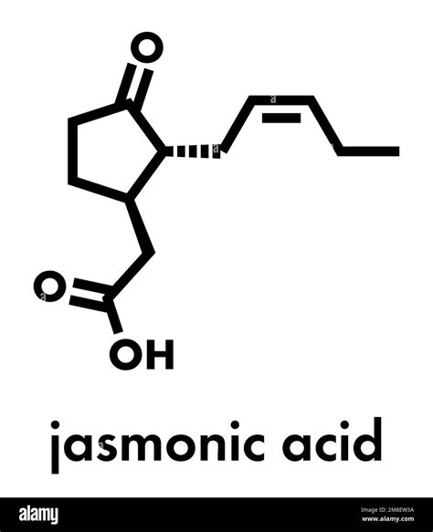 Jasmonic Acid Jasmonate Ja Plant Hormone Molecule Skeletal Formula