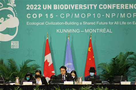 Archbishop At Cop15 Emphasizes Indigenous Rights At Critical Juncture