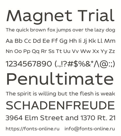 Magnet Trial Font