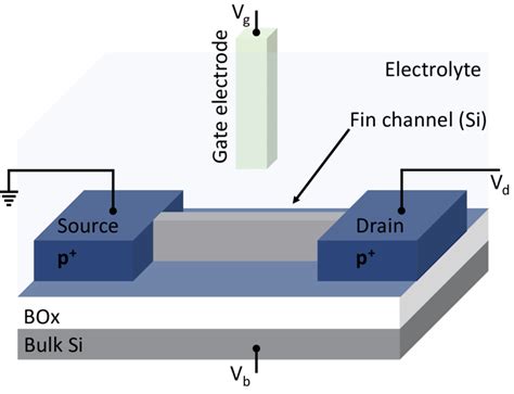 19 Schematic Representation An Isfet Device Download Scientific Diagram