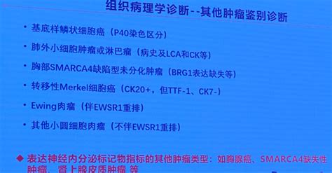 速看！2023 Csco 小细胞肺癌诊疗指南更新要点汇总研究治疗省肿瘤医院