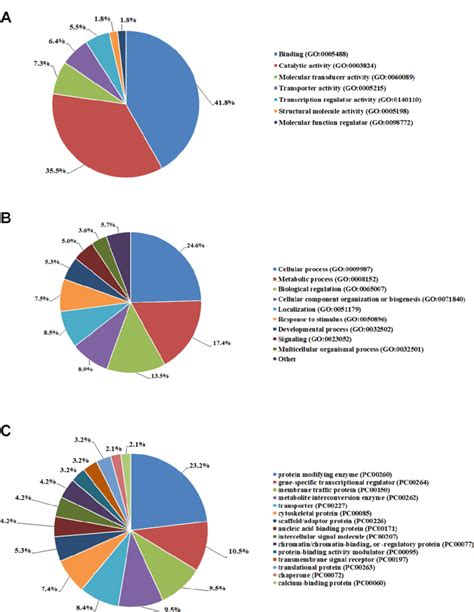 Gene Ontology Analyses Of Af Eqtl Targeted Genes A Molecular Download Scientific Diagram