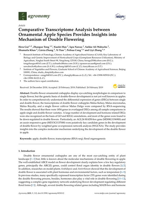 Pdf Comparative Transcriptome Analysis Between Ornamental Apple Species Provides Insights Into