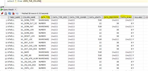 List Of All Columns In Fgdb Using Sql Query Esri Community