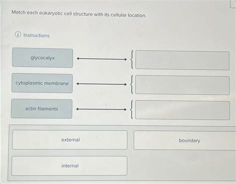 Solved Match Each Eukaryotic Cell Structure With Its