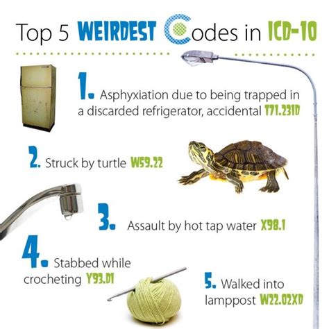 Top 5 Weirdest Codes In Icd 10 Medical Coder Medical Coding Humor Coding