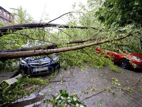 Un bărbat a murit după ce a căzut de la înălţime încercând să doboare