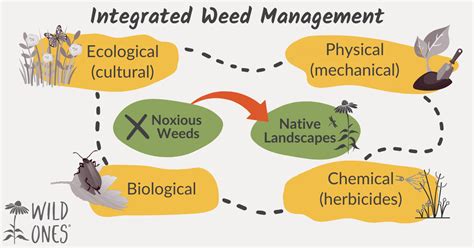 Ecological Control Of Invasive Plant Species Wild Ones Native Plants