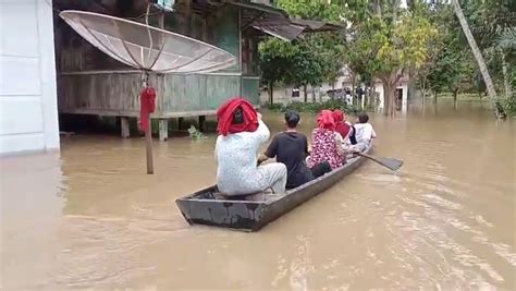 Banjir Di 7 Koto Ratusan Rumah Di 2 Desa Terendam Dan Ratusan KK Terdampak
