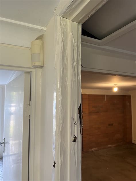 Live Termites Found In A House In Cannon Hill Brisbane Conquer