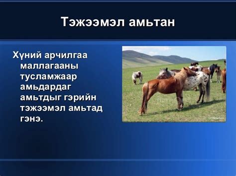 амьтад