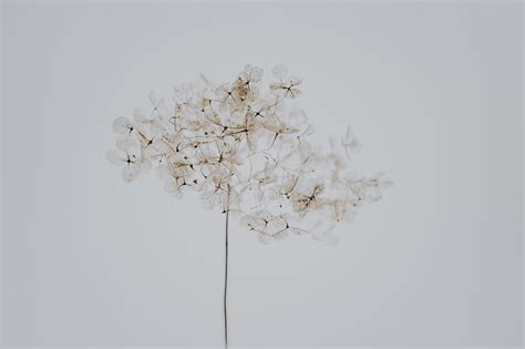 Images With Text Stack Design Packs