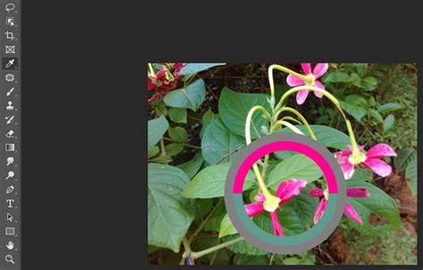 How To Use Eyedropper Tool In Photoshop Geeksforgeeks