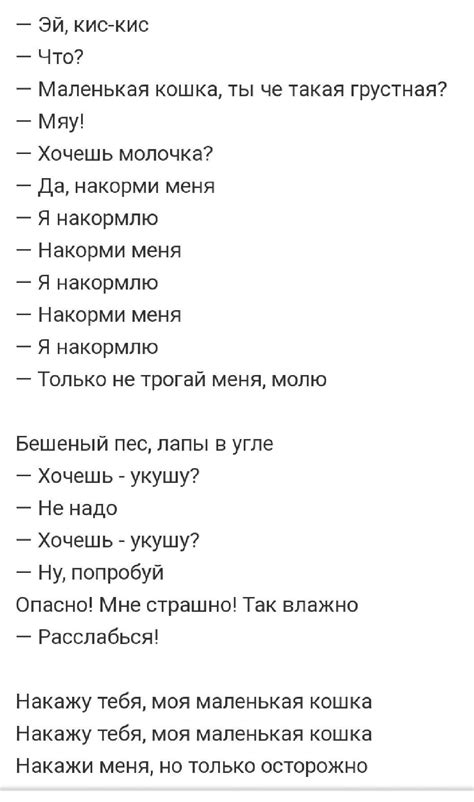 можете написать текст песни кошка соняочень нужно Школьные Знания Com