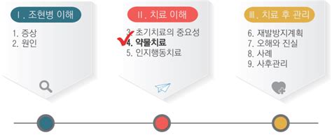 조현병 치료 이해 6 약물의 종류와 효과 네이버 블로그
