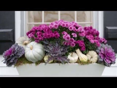 Top Fall Decorating Ideas For Your Window Boxes YouTube Fall Window Boxes Fall Container