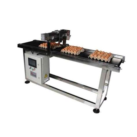 Egg Coding Machine With Traverse System Belt Conveyor And Coding Machine