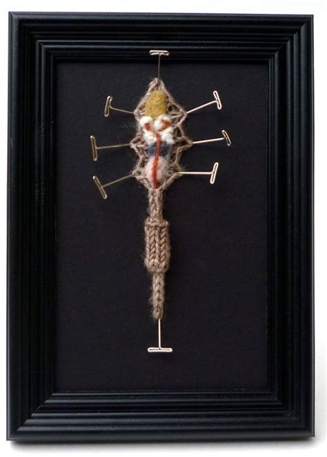 Knitted Anatomy Kits Offer Cruelty Free Dissections Mnn Mother