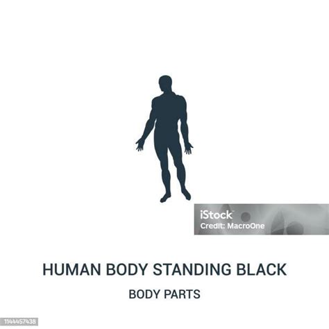 신체 부위 컬렉션에서 인간의 몸 서 있는 검은 실루엣 아이콘 벡터 얇은 라인 인간의 몸 서 검은 실루엣 개요 아이콘 벡터 일러스트 레이 션 가득 찬에 대한 스톡 벡터 아트