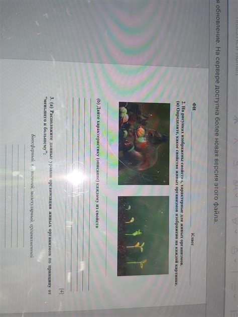 помогите срочно даю 20 баллов Школьные Знания Com