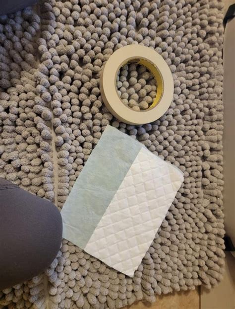 Pee In The Bottom Of The Robot R Litterrobot