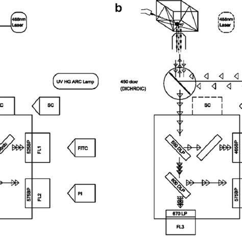 Schematic Representation Of Biostat C Dcu 20l Bioreactor Download Scientific Diagram