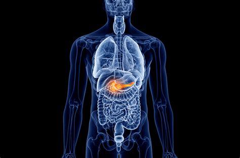 Ercp Specialist Lahore Expert Clinical Care By Dr Fahd Aziz Rana