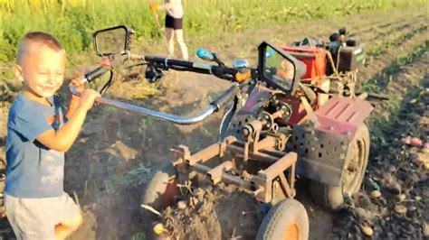 Копаем картошку с внучком безгрохотной копалкой Youtube