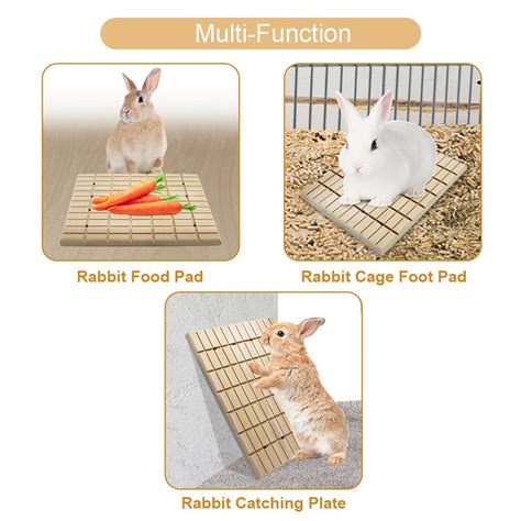 Rabbit Scratch