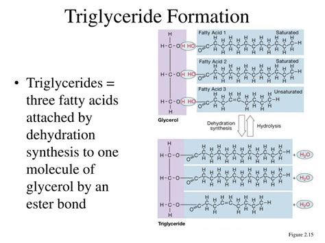 Ppt Types Of Organic Compounds Powerpoint Presentation Free Download