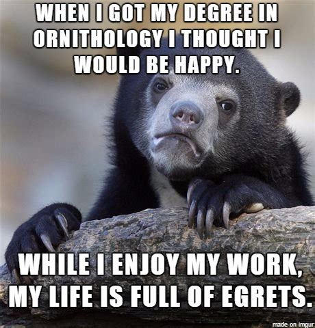 Though I Get To Go Into The Forests And See Tits All Day Meme On Imgur