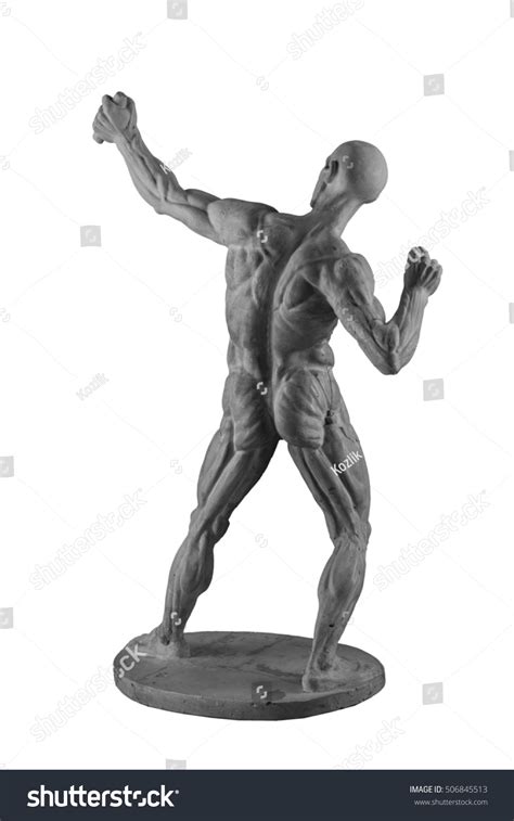 Plaster Statue Naked Anatomical Human Figure Stock Photo Shutterstock